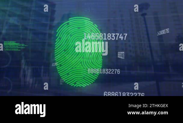Animation of numbers, financial data processing over biometric fingerprint. Global online ...