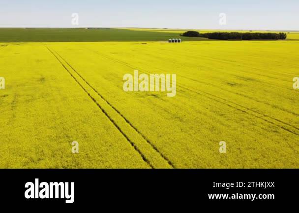 Field canadian prairies Stock Videos & Footage - HD and 4K Video Clips ...