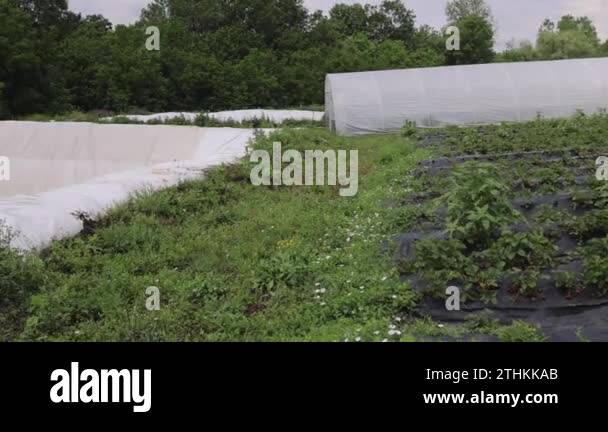 Polyethylene Lined Open Tank Low Water Level Storage Reservoir Farming ...