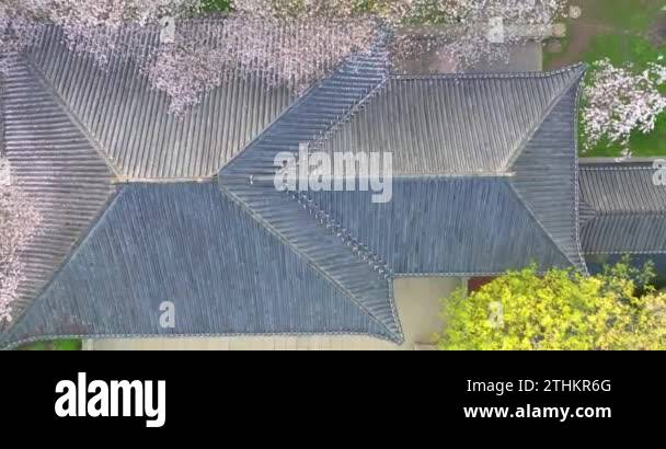 Moshan Stock Videos & Footage - HD and 4K Video Clips - Alamy