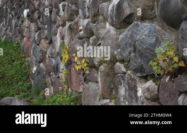 Birch castle Stock Videos & Footage - HD and 4K Video Clips - Alamy