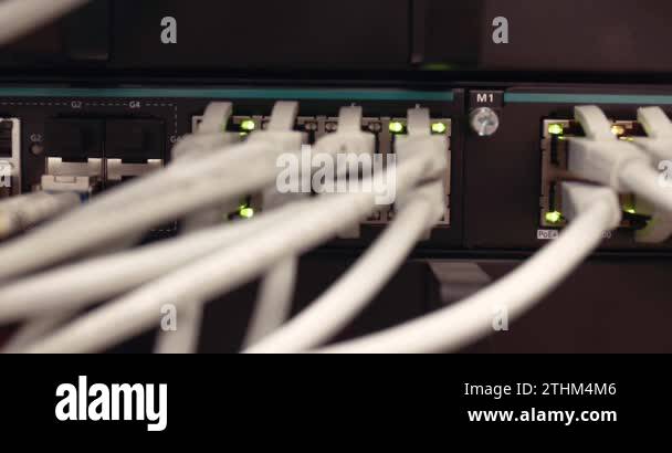 Network cables plugged into a switch at an only data center server room ...