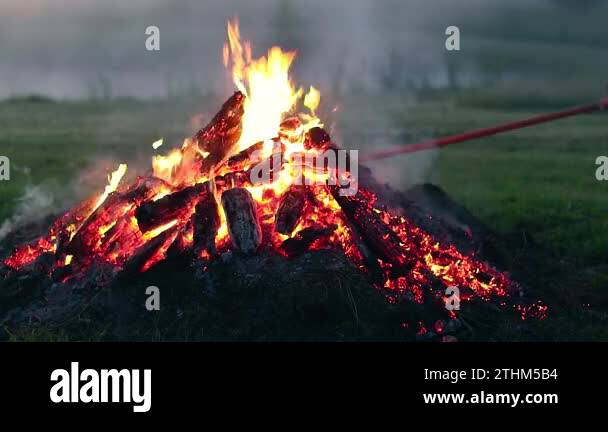 Big Campfire is Burning Down in Early Morning. Wood on Fire. Flying ...