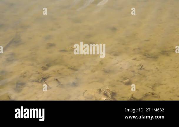 Throwing boulder Stock Videos & Footage - HD and 4K Video Clips - Alamy