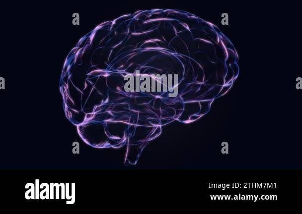 Brain abstract digital human by connect brain. Neural network. IQ ...