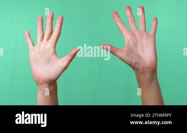 Raised Open Palms Up on Empty Isolated Green Chroma Key Background. Two ...