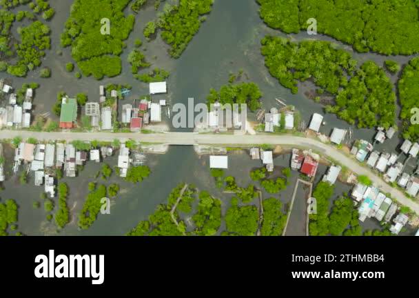 Rural road in the Philippines in the mangroves and the village with ...