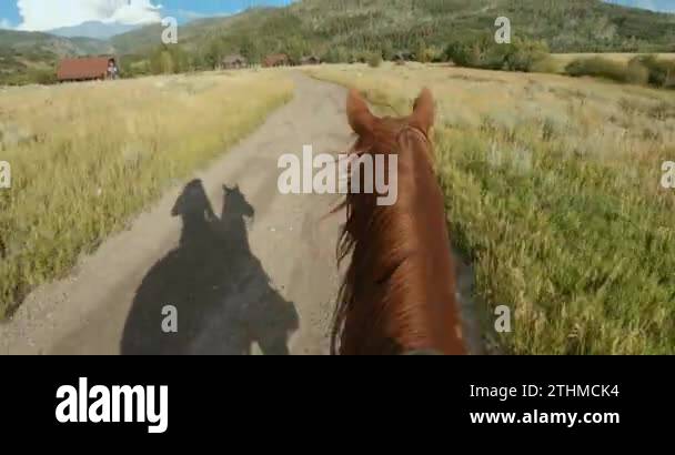 First person point of view, pov of woman horseback riding through ...