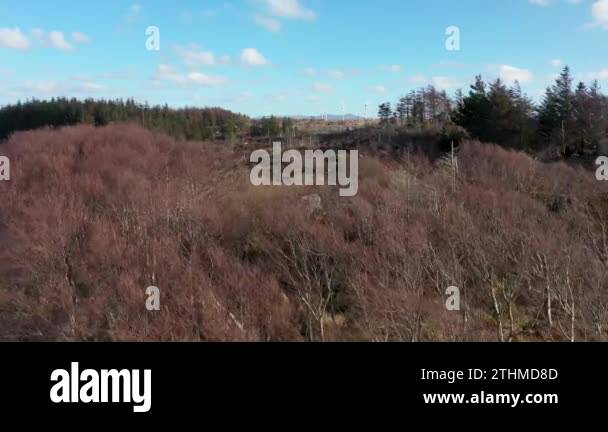 Peat bog donegal Stock Videos & Footage - HD and 4K Video Clips - Alamy
