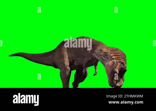 tyrannosaurus rex roaring on green screen Stock Video Footage - Alamy