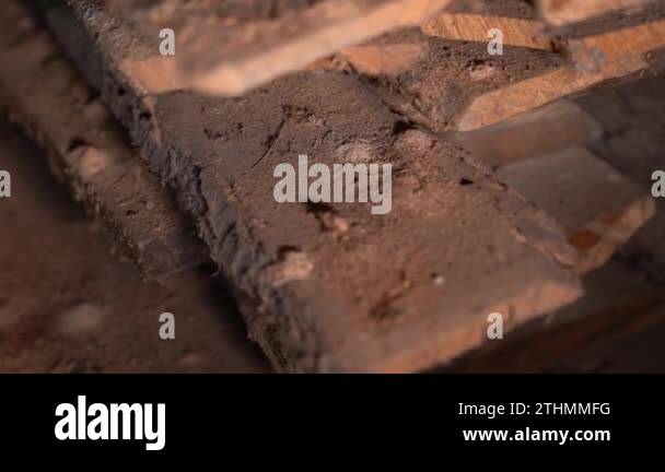 A sawdust trail from wood-eating insects in a warehouse of oak planks ...
