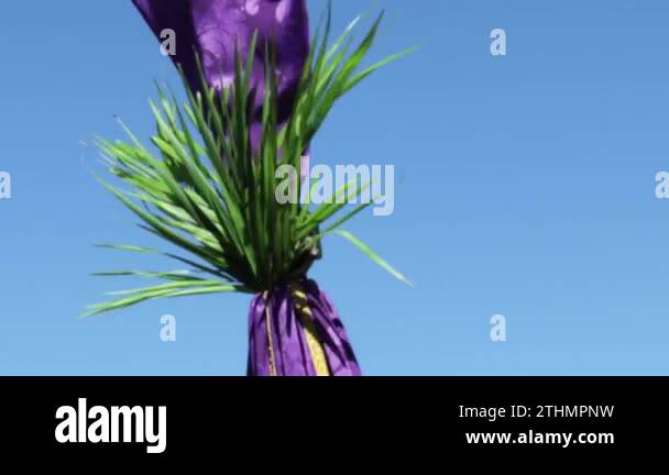 Holy Week. Processional cross and branches. Traditional Catholic ...