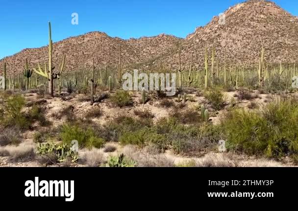 Desert arroyo Stock Videos & Footage - HD and 4K Video Clips - Alamy