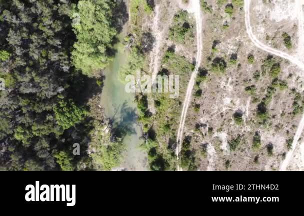 Top down view of river that gets enveloped by cypress trees. Roads and paths on the right, large ...