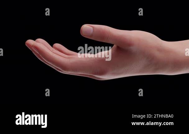3D animation loop and rendering full hand palm idle animation realistic ...