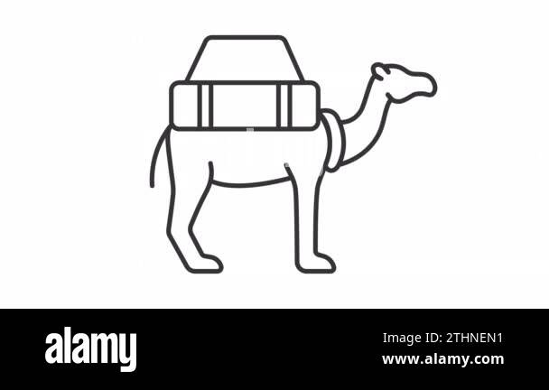 Animated camel linear icon. Moving head and tail. Domestic animal ...