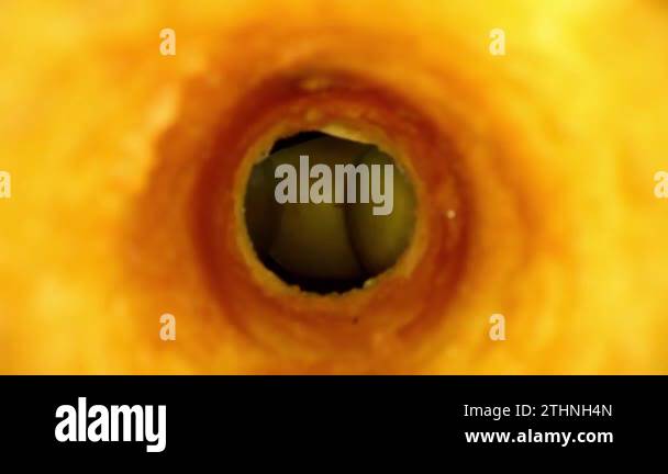 Shown pulling Stock Videos & Footage - HD and 4K Video Clips - Alamy