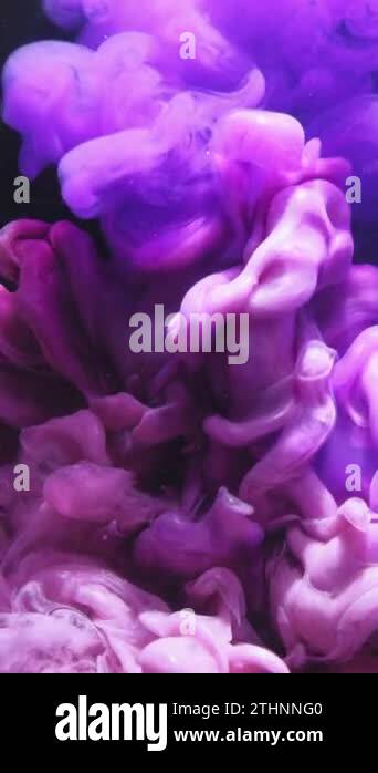 Vertical video. Fluid splash. Color vapor. Ink water blast. Pink purple ...