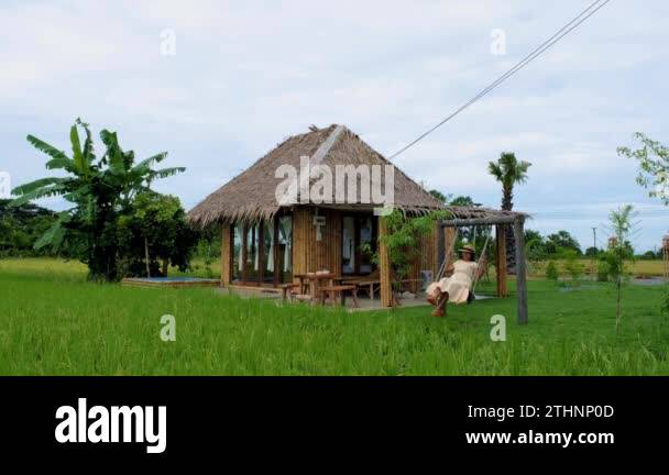 home stay farm between green paddy fields in Thailand, beautiful farm ...