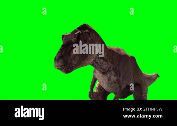 tyrannosaurus rex roaring on green screen Stock Video Footage - Alamy