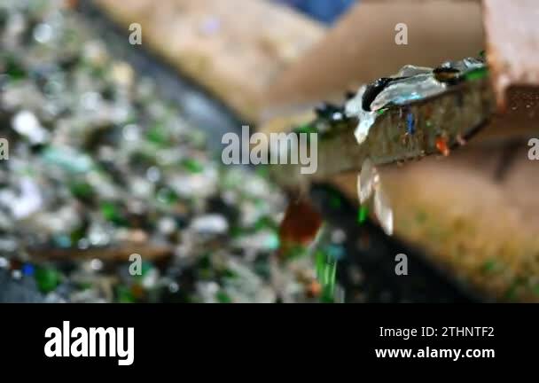 Process of sorting glass garbage on a vibrating conveyor belt at waste ...