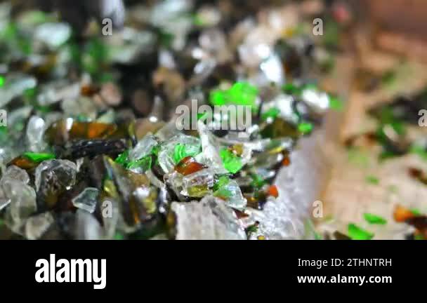 Process of sorting glass garbage on a vibrating conveyor belt at waste ...