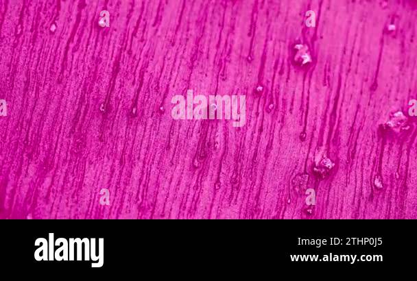 Glitter background. Color sand flow. Sparkles wave. Defocused neon pink ...