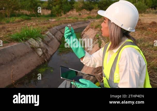 Environmental engineer inspect water quality, Scientist Bring water to ...