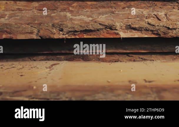 Wood factory stock and lumber board with nature business export the ...
