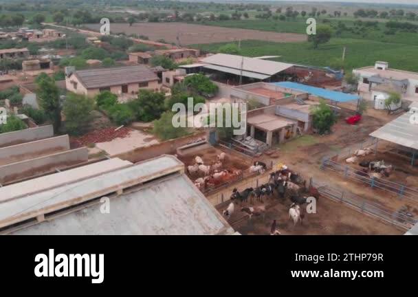 Sindh pakistan buildings Stock Videos & Footage - HD and 4K Video Clips ...