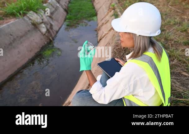 Environmental engineer inspect water quality, Scientist Bring water to ...