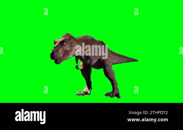 tyrannosaurus rex roaring on green screen Stock Video Footage - Alamy