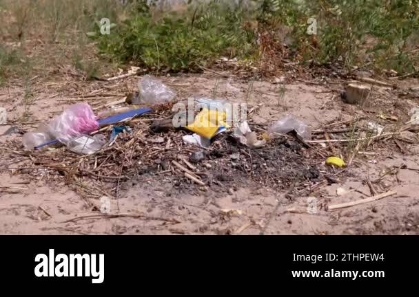 Discarded Garbage from Plastic Bottles, Plastic Bags in Sun in Forest ...