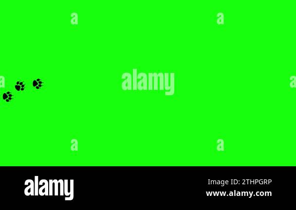 Cartoon clip art footprint Stock Videos & Footage - HD and 4K Video ...