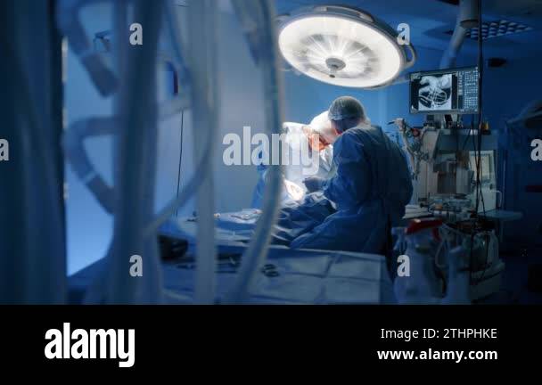 An animal doctor and a nurse performing a surgery on an animal on an ...