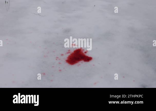 Dripping fluid, Blood stain, Snowy trauma. The blood red liquid is ...