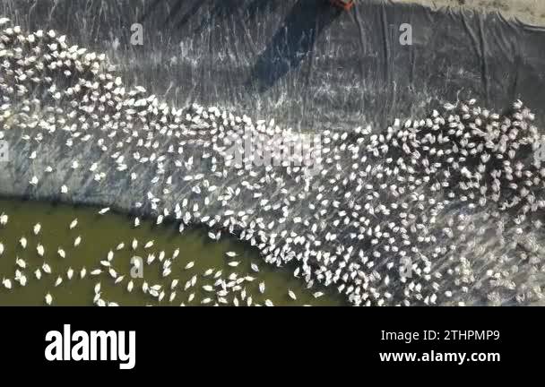 Alienate Stock Videos & Footage - HD and 4K Video Clips - Alamy