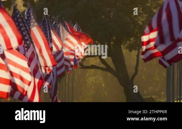 RED camera footage of American Flags blowing in wind at sunny ...