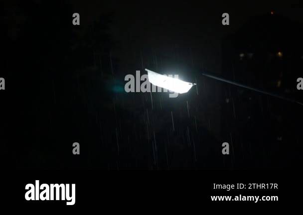 Raining Night and street light. 4k footage Rain Drops Falling in ...
