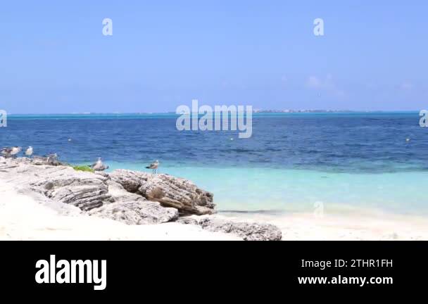 Beaches beach ocean summer sun swim Stock Videos & Footage - HD and 4K ...