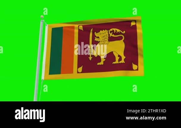 Seamless loop animation of the Sri Lanka flag on a green screen ...