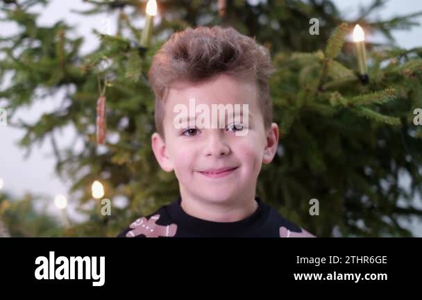 Photogenic tree Stock Videos & Footage - HD and 4K Video Clips - Alamy