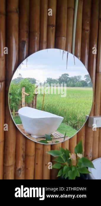 Home stay in Thailand, white bathtub between a beautiful green paddy ...