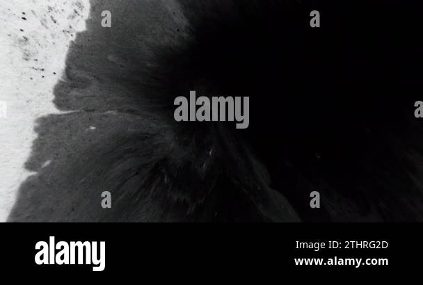 Black ink water drop. Reveal transition. Cover overlay. Wet paint stain ...