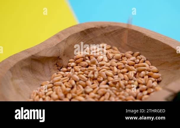 Export crops Stock Videos & Footage - HD and 4K Video Clips - Alamy