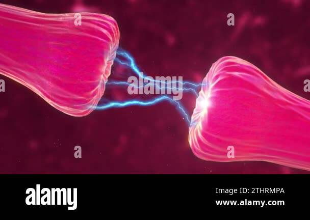 Neuronal and Synapse Activity animation showing chemical messengers or ...
