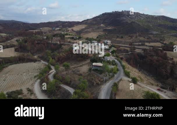 Drone view of the destruction after forest fire, view of ash trees ...