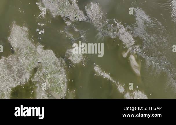 Shallow water level Stock Videos & Footage - HD and 4K Video Clips - Alamy