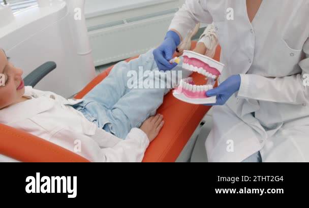 female pediatric dentist in gloves showing the correct dental hygiene ...