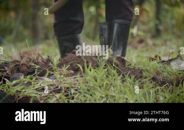 Close-up slow motion shot of farmer hands using a hoe an agriculture ...